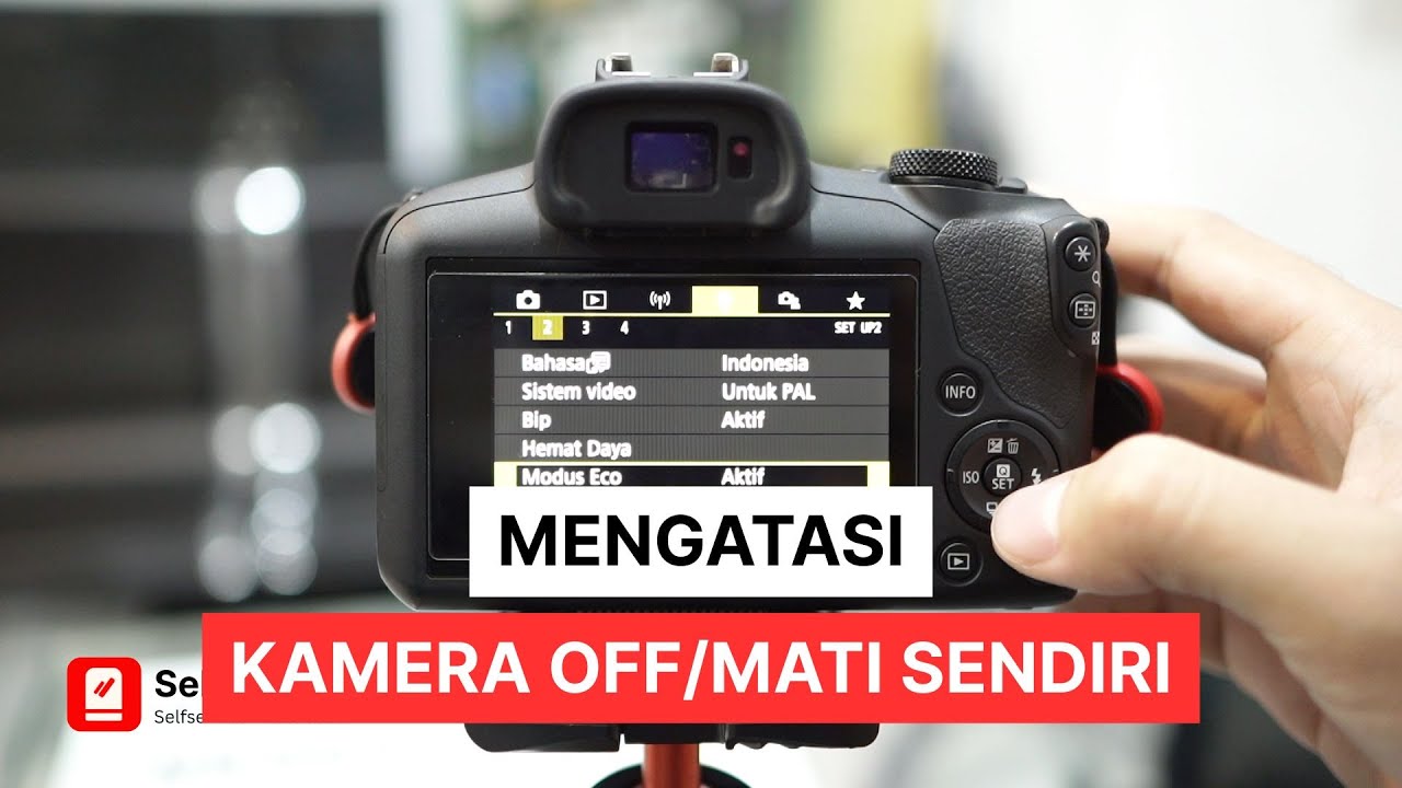 Self Studio - Semua Tentang Self Studio